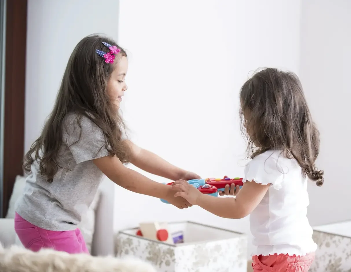 It’s Not About the Toy: The Real Reason Your Kids Are Fighting - Dr. Siggie